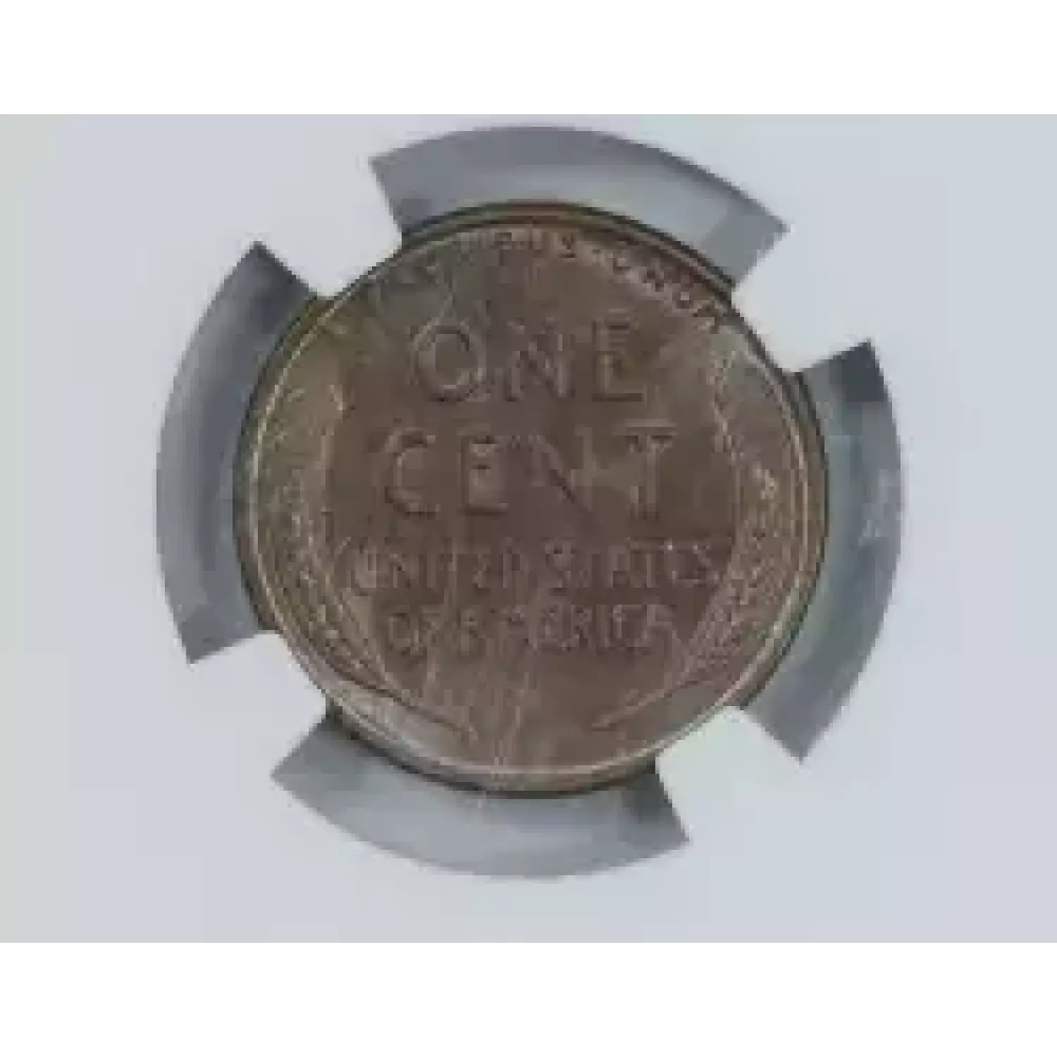 1955-PHILADELPHIA Small Cents Lincoln, Wheat Ears Reverse NGC AU-58 BN DDO - Kearney Coin Center