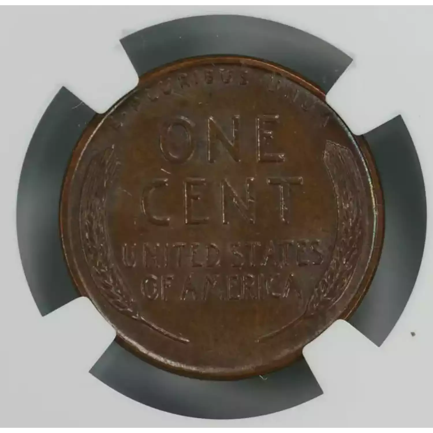 1955-PHILADELPHIA Small Cents Lincoln, Wheat Ears Reverse NGC MS-61 BN DDO - Kearney Coin Center